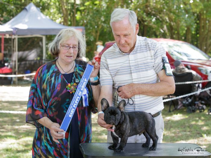 Gesundheit Signor Giovanni - Owned by Errol Tooth